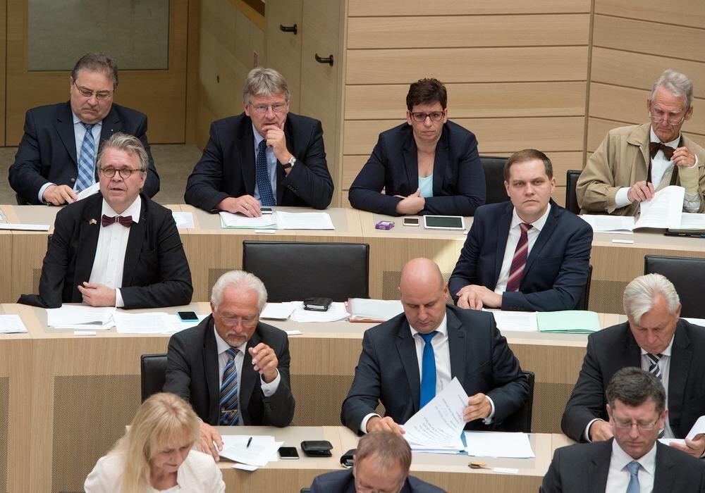 AfD-Abgeordnete wirft ihrter Partei rechte Tendenzen vor - Politik ...