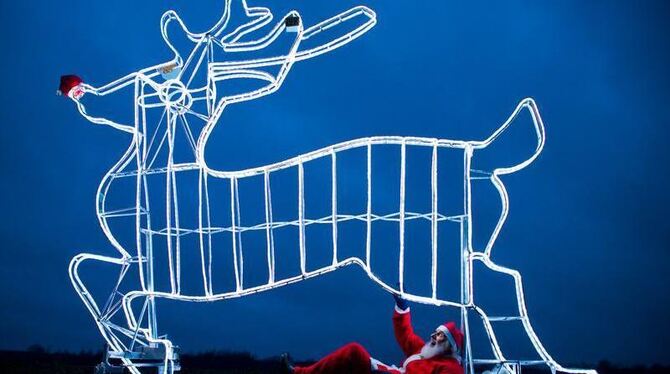 Rätsel um Rentier Rudolphs rote Nase gelöst - Wissenschafts-Nachrichten ...