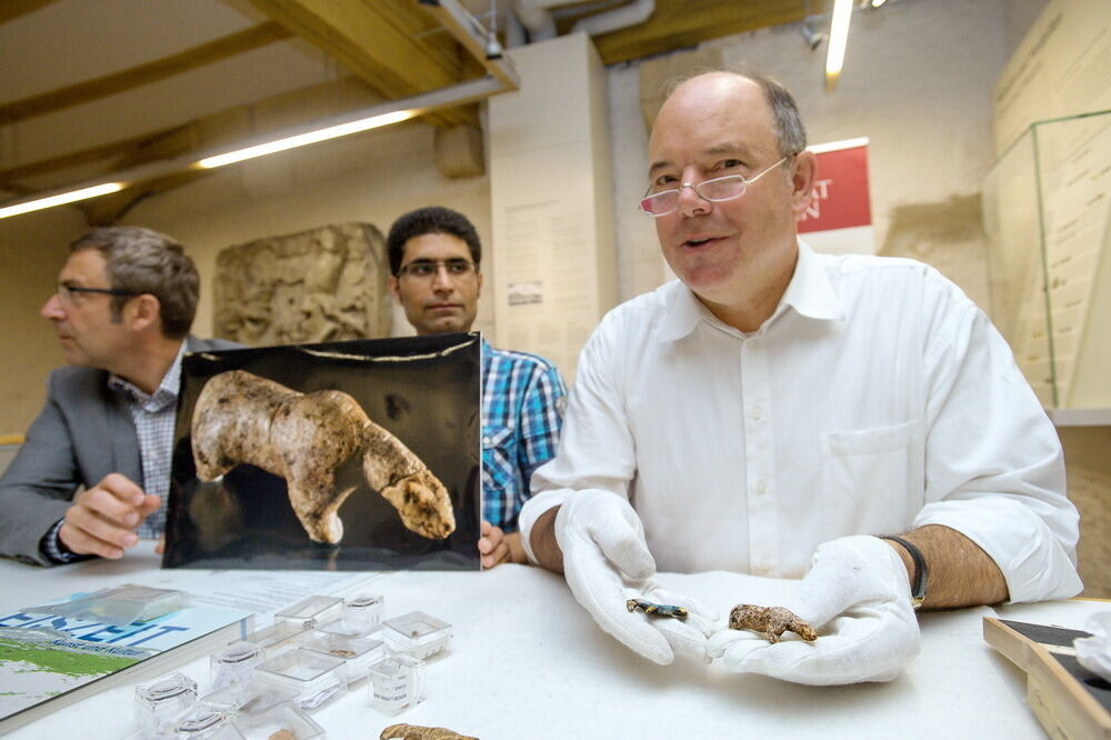 Erst Bär oder Nashorn: jetzt Eiszeit-Löwe - Kreis Tübingen - Reutlinger ...