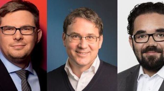 Bundestagswahl 2013: Ergebnisse Tübingen - Kreis Tübingen - Reutlinger ...