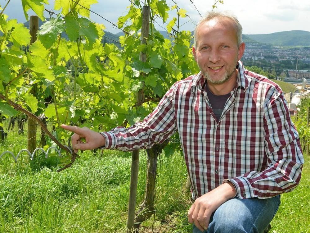 Komplette Ernte auf dem Reutlinger Weinberg verhagelt - Reutlingen ...