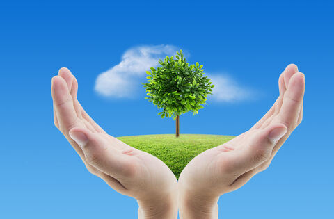 Zehn Tipps, wie wir unserer Umwelt helfen können - Mehr vom Leben - gea.de