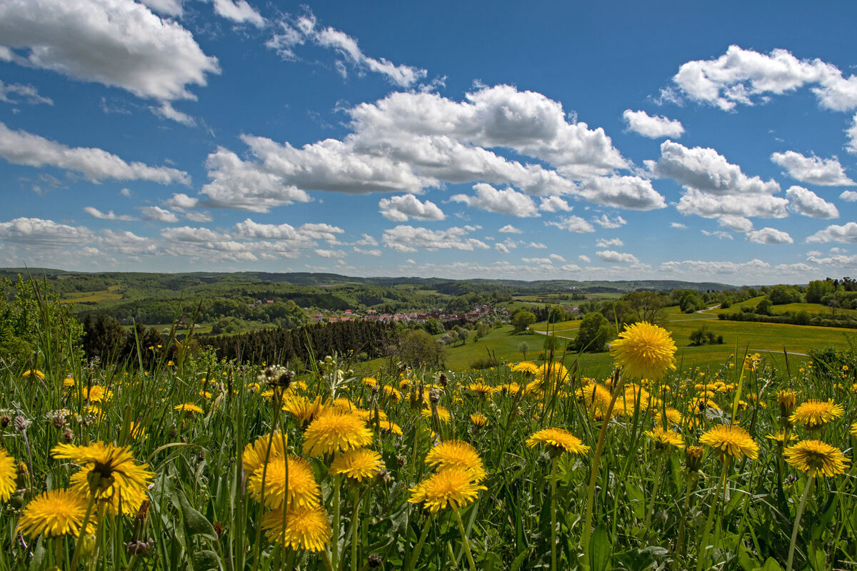 Bereits mit etwas Sommerfeeling - Engstingen - Reutlinger General ...