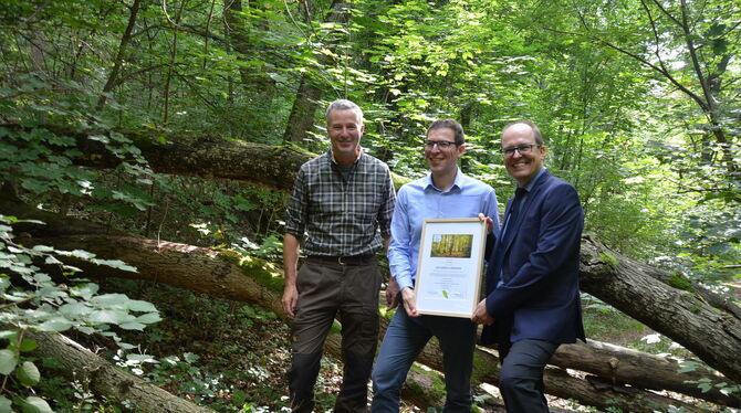 Pfullingen bleibt Naturwaldgemeinde - Pfullingen / Eningen ...