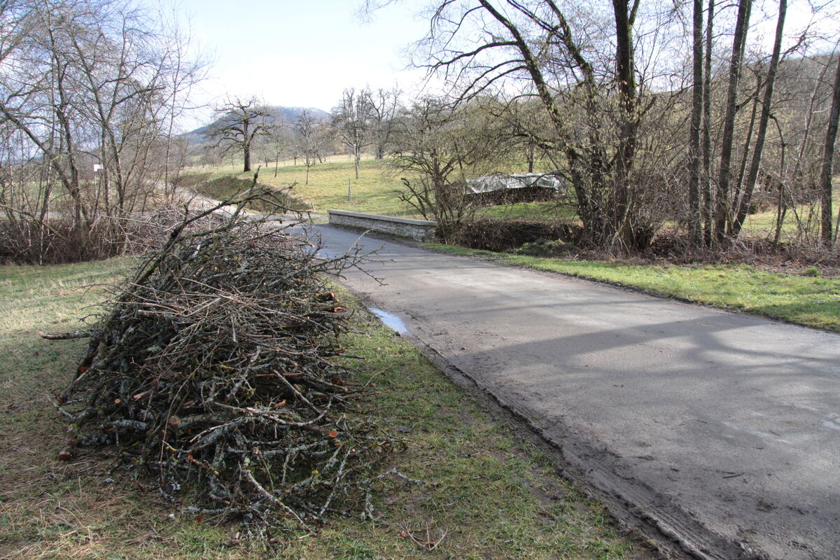 Reisig und Äste enthalten nutzbare Energie - Kreis Tübingen ...