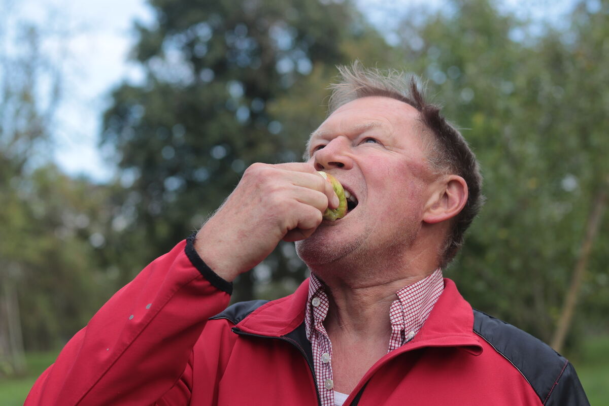 Gomaringer Experte sagt: Das Streuobstparadies ist gefährdet - Kreis ...