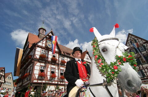 In Bad Urach werden ehemalige "Schäferläufer" gesucht - Neckar + Erms ...