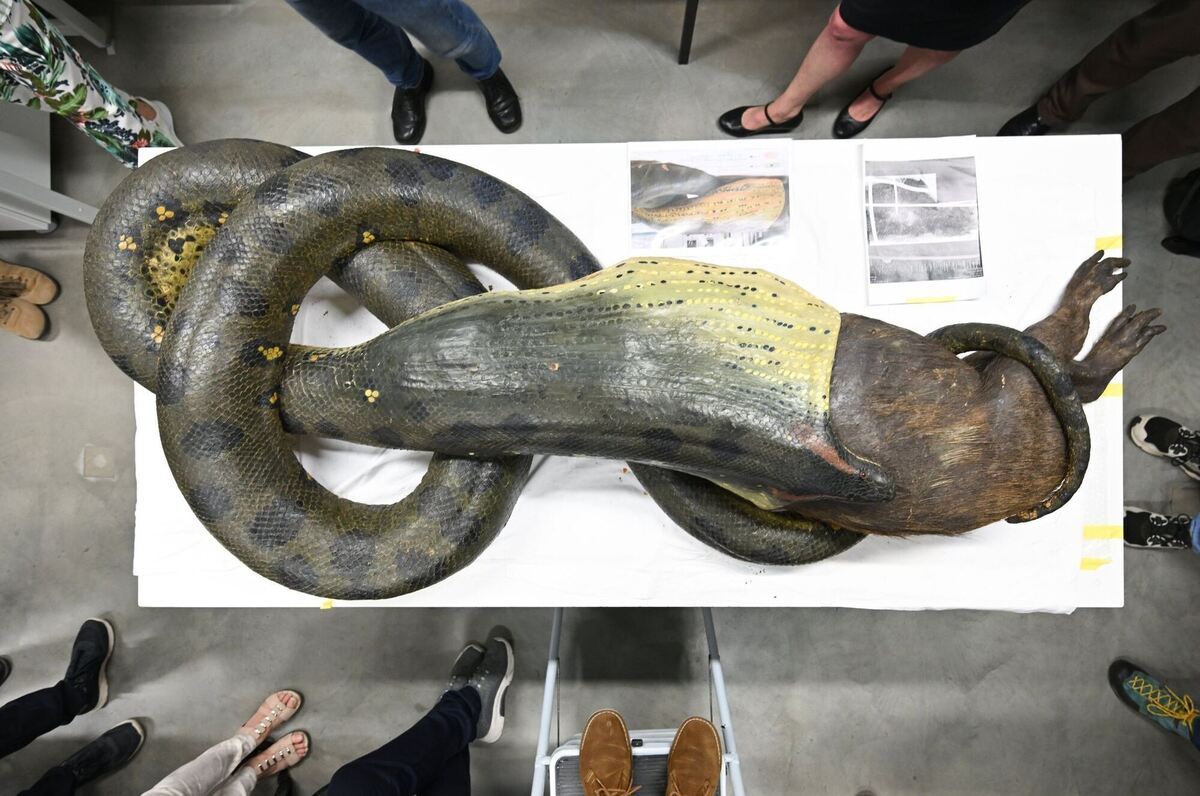 Bilder des Tages - Reutlinger General-Anzeiger - Startseite - gea.de