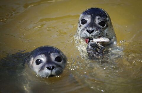 Bilder des Tages - Reutlinger General-Anzeiger - Startseite - gea.de