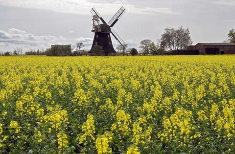 Bilder des Tages - Reutlinger General-Anzeiger - Startseite - gea.de