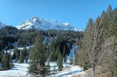 Raum für relaxtes Reisen - Auto - gea.de