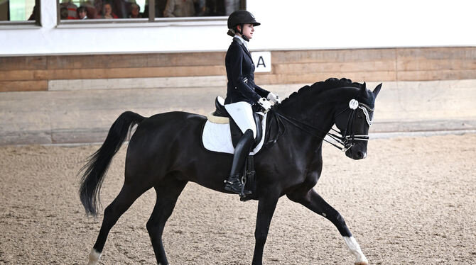 Reutlinger Dressur-Turnier: Isabelle Walker wird Dritte - Sport ...