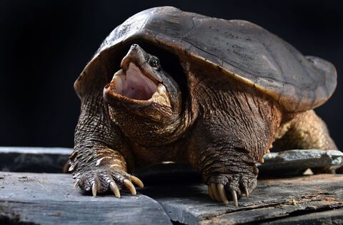 Bilder des Tages - Reutlinger General-Anzeiger - Startseite - gea.de