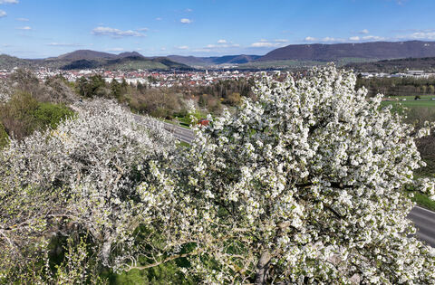 Metzingens neue Umweltbeauftragte heißt Sarah Laib - Neckar + Erms ...
